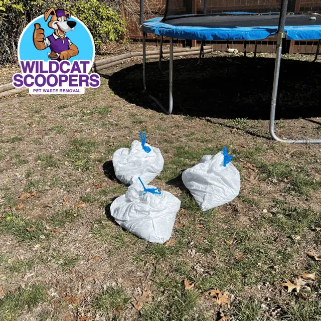 Top Quality Dog Waste Removal Services | WildCat Scooper
